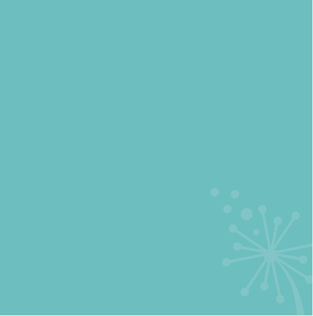 HOME - DXMini | 小さく始めて、大きく咲かす